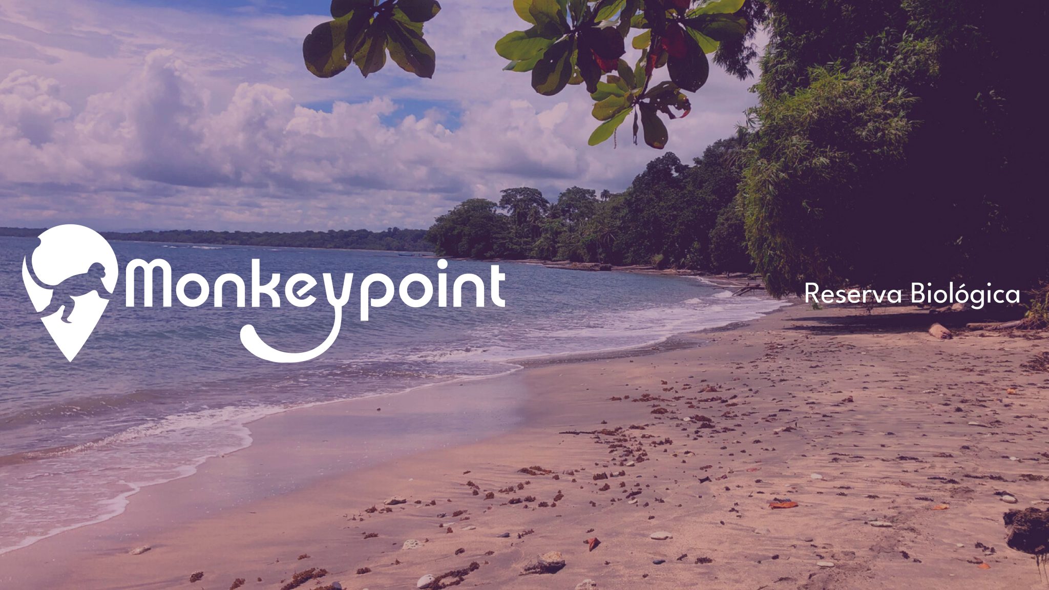 Monkey Point – 30 Grados Digital Agency