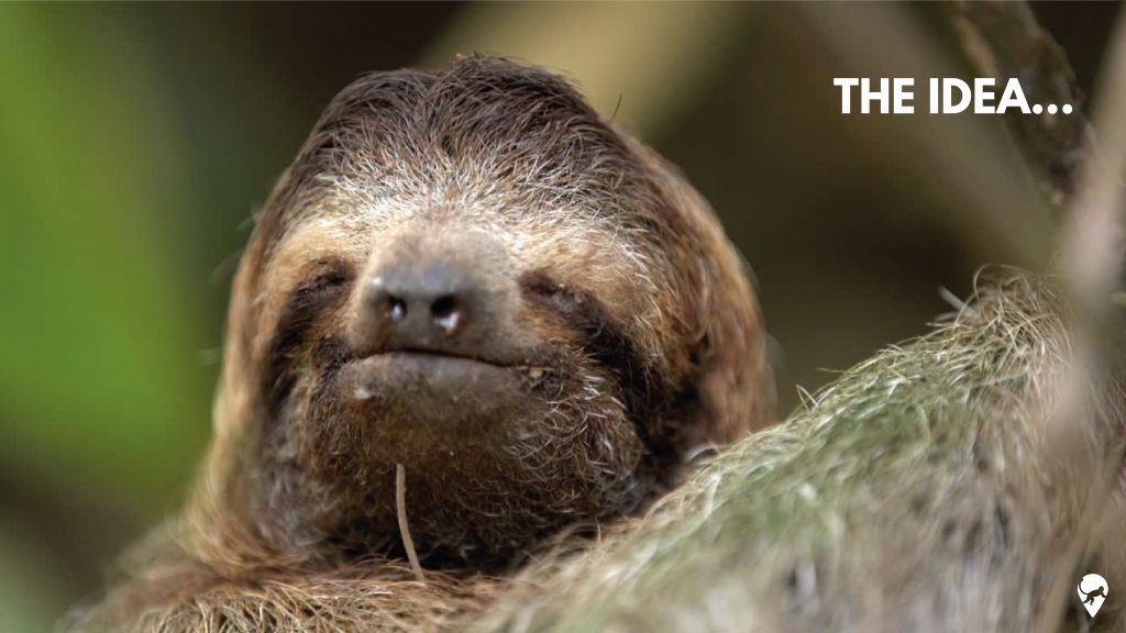 Monkey Point – 30 Grados Digital Agency